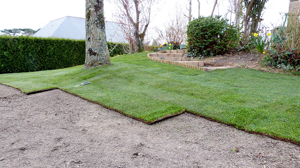 pelouse en rouleau loire-atlantique - nantes-gazon